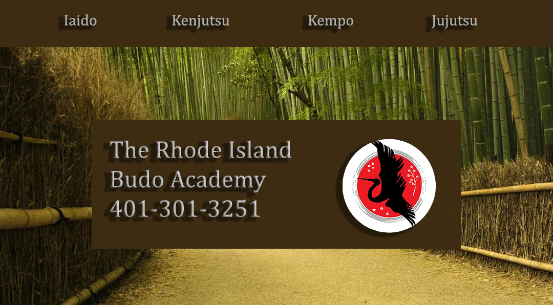 newopenpage – The Budo Academy Blog