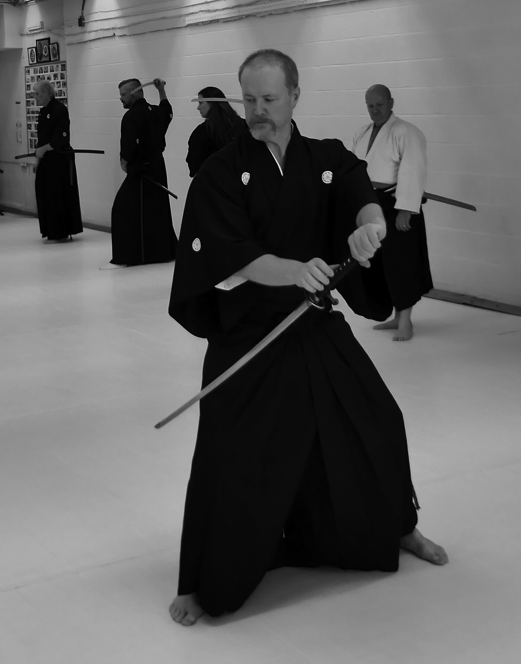 Moving Zen, The Art of Iaido – The Budo Academy Blog