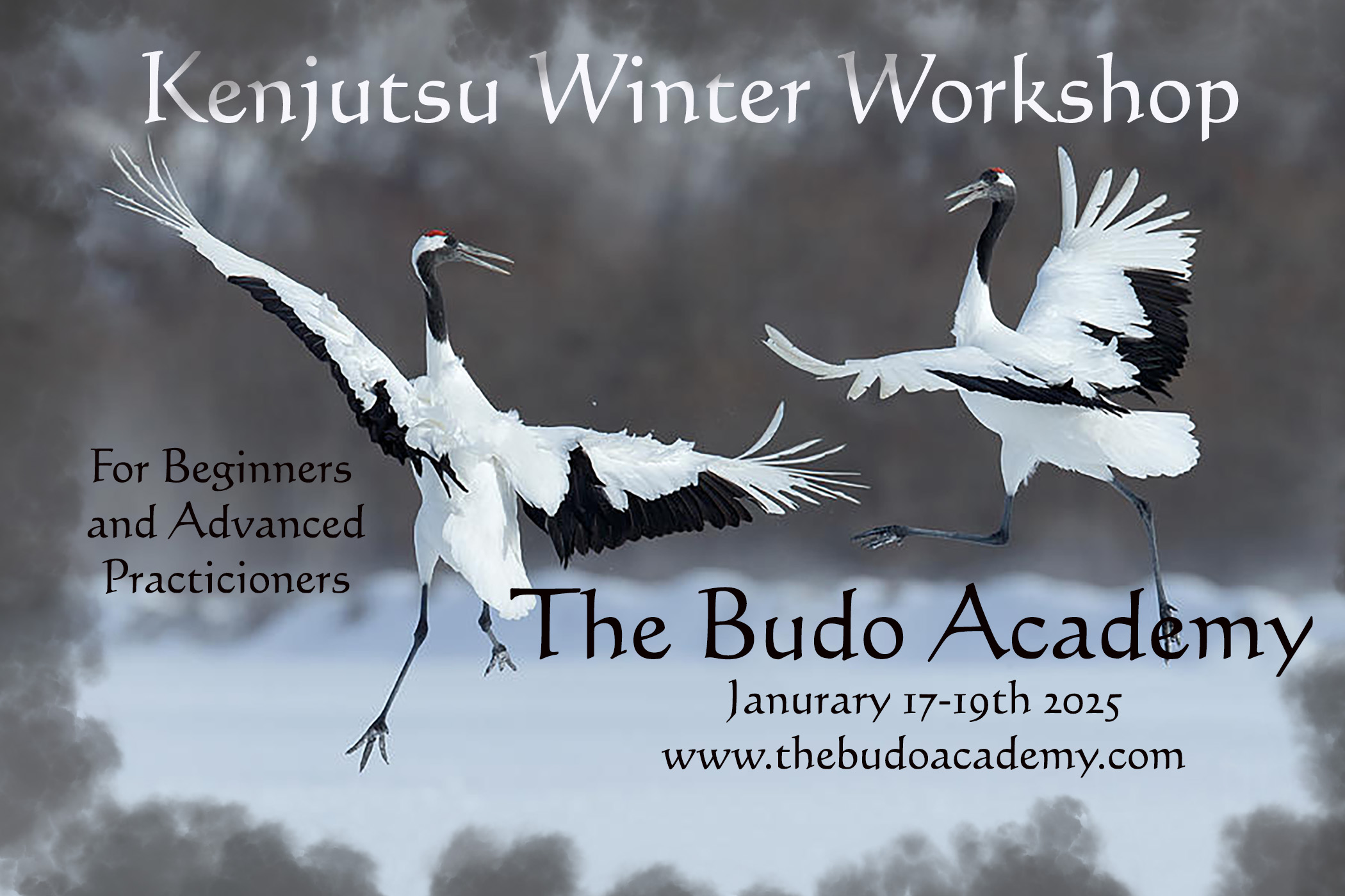 Upcoming Events – The Budo Academy Blog