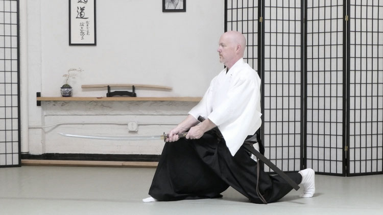 Barriers Within Barriers – The Budo Academy Blog